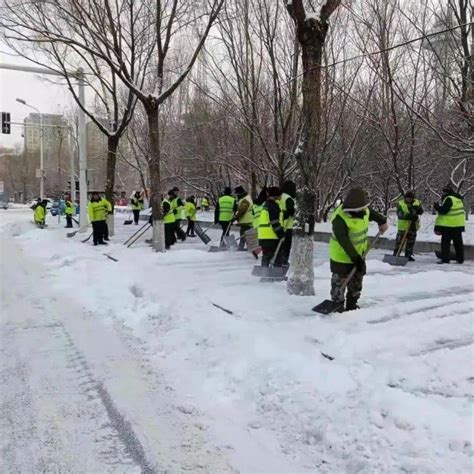 【工作动态】人机结合 循环作业 郊区以雪为令 全力清雪保畅通人员相关边石