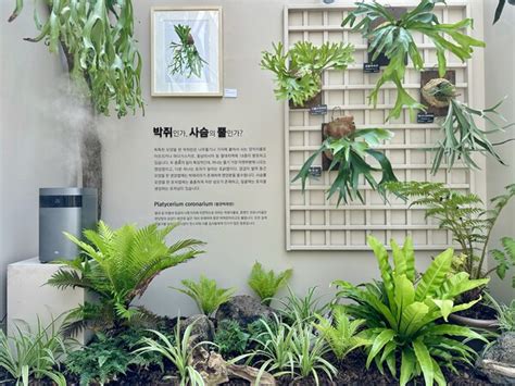 국립세종수목원에서 이색 괴근식물 구경하세요