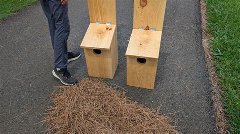 We Made Screech Owl Nest Boxes
