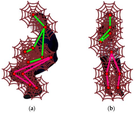 A Multimodal Iot Based Locomotion Classification System Using Features Engineering And Recursive