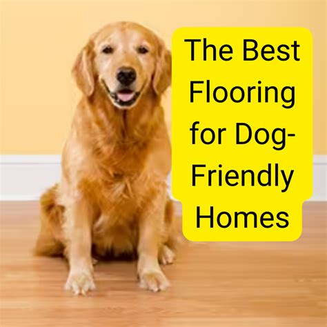 The Best Flooring For Dog Friendly Homes Bens Painting And Improvements