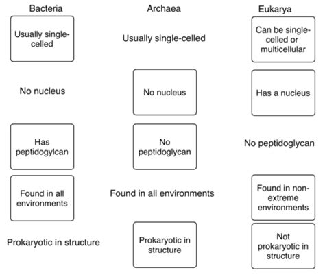 Chapter 1 Microbiology Flashcards Quizlet