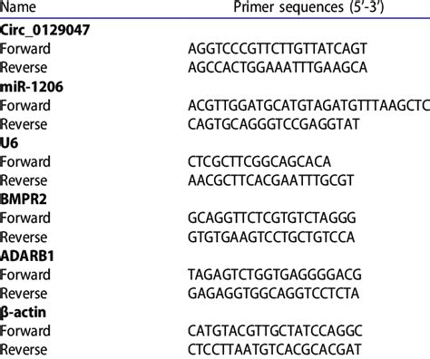 The Primer Sequences For Rt Qpcr Download Scientific Diagram