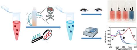 Rapid Colorimetric Detection Of Heavy Metal Hg2 In Cosmetics Based On