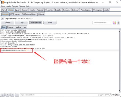 网络安全 墨者学院在线靶场 投票系统程序设计缺陷分析 csdn博客