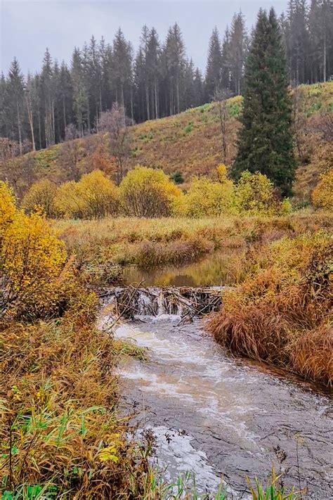 38 Hidden Gems In Belgium Unique Off The Beaten Path Places You Need To