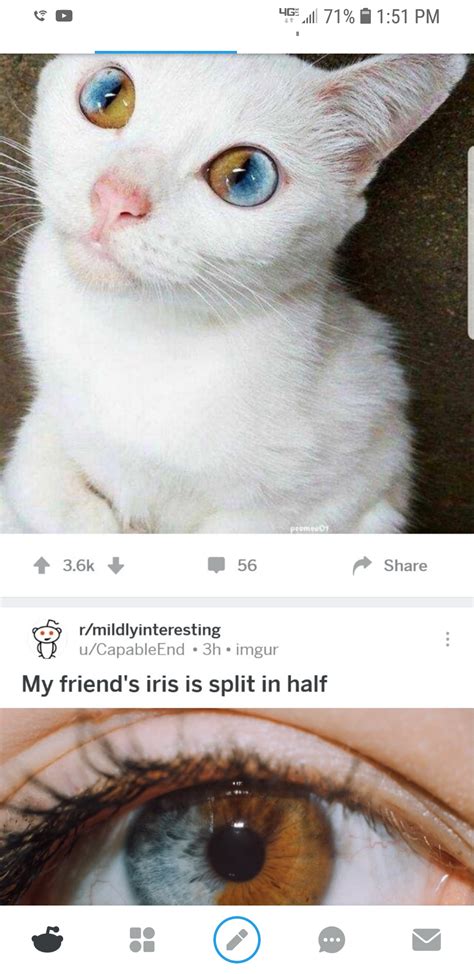 Found This While Browsing Reddit Thought It Belongs Here Rscreenshots