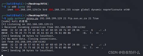 python黑帽子 第一章 实现一个TCP代理 python tcp代理 CSDN博客