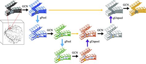 A Visual Description Of The Hierarchical Connectivity Graph Neural