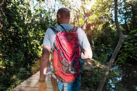Человек с рюкзаком ходит в парк Стоковое Изображение изображение насчитывающей достижения