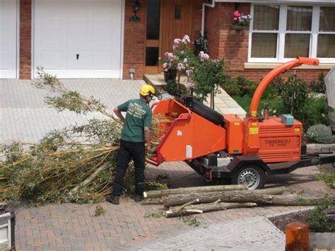 Tree Surgery Ashley Tree Surgeons