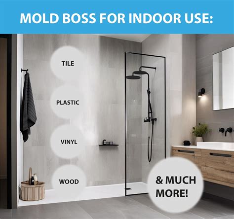 Mold Boss Removedor Profesional De Manchas De Moho Y Moho Limpiador