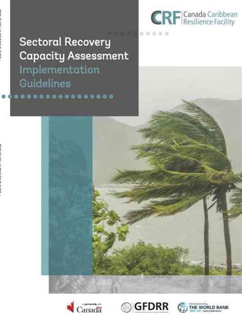 Sectoral Recovery Capacity Assessment Implementation Guidelines