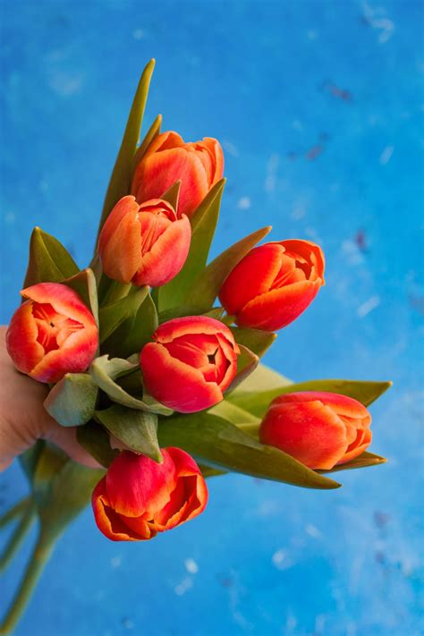 Tetradic Colors How To Master This Complex Color Scheme • Colors
