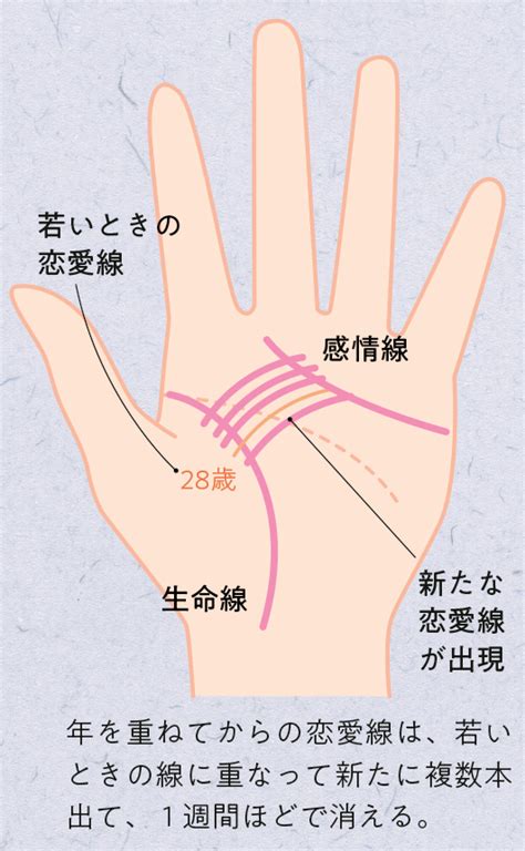 20代の恋愛線は感情線から生命線の上の方に出るが、晩年の繁栄につながる70代の恋愛線は、どこに出る？【手相がわかれば未来は変わる！金持ち手相