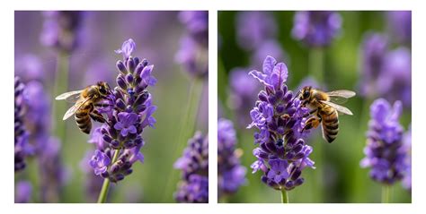 Mastering Prompt Design In Vertex Ai A Hands On Lab Journey By Sanjna Sukirti Jun 2025