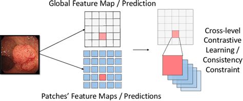 Figure 1 From Cross Level Contrastive Learning And Consistency Constraint For Semi Supervised