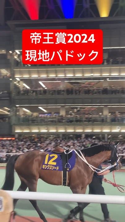 帝王賞2024 現地パドック 大井競馬 帝王賞 帝王賞2024 Youtube