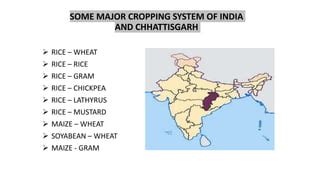 Area Specific Cropping System In Relation To Farmers Economy Pptx