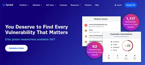 Best Bug Bounty Platforms Bug Hacking