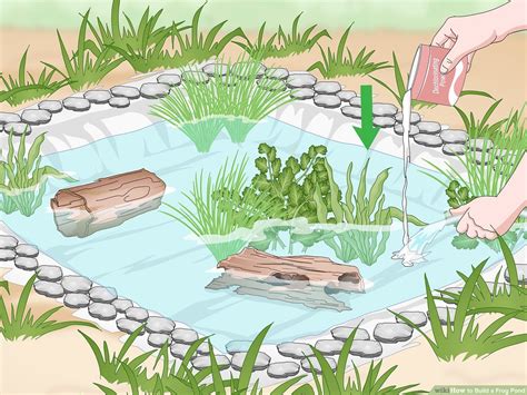 Frog Pond Aesthetic Best Decorations