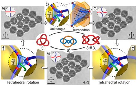 Materials Special Issue Designed Colloidal Self Assembly