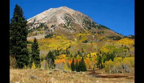 Jgi Announces 2023 Community Science Program Awardees Joint Genome