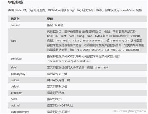 Gorm教程：golang的强大orm库详解 Csdn博客