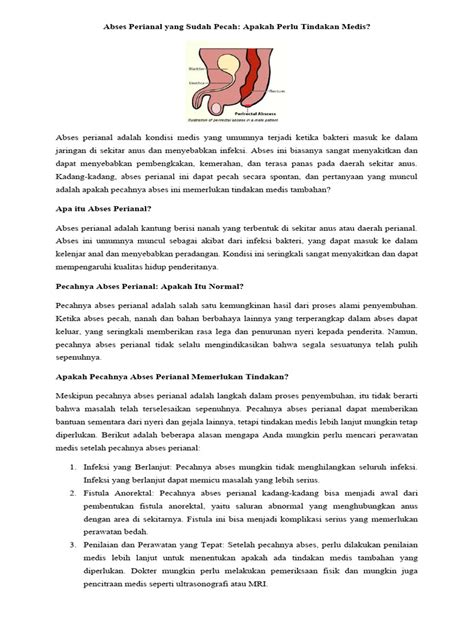 Sudah Artikel Abses Perianal Yang Sudah Pecah Apakah Perlu Tindakan