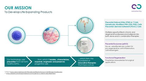 Celularity Presentation Design Slidegenius