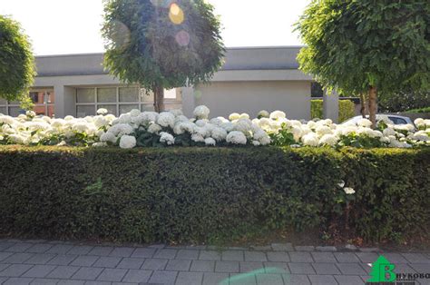 Идеи ландшафтного дизайна Фотогалерея