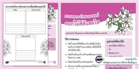 การทดลองวิทยาศาสตร์ ดอกไม้สีสันสดใส