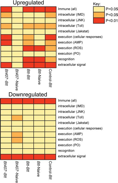 P Value Heatmaps For Different Immunity Related Categories P Values Download Scientific