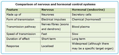 Comparing Nervous And Hormonal Coordination Grade 9 Understanding For