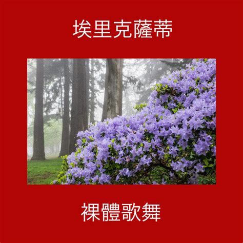 Youtube Music