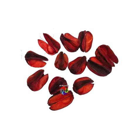 Favas O Alquimista Artigos Religiosos And Esotéricos