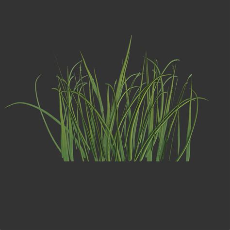 Texturecan Grass Texture Generator