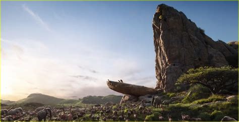 Live Action Lion King Disney The Live Action The Lion King Is Now