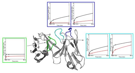 Chloé Palesh On Linkedin Epitopemapping Proteomics Hdxms Massspec