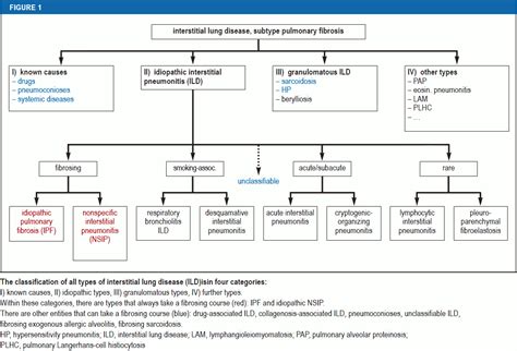 Interstitial Lung Disease Classification