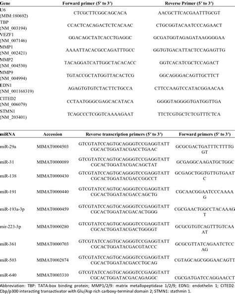 Primer Sets For Real Time Pcr Analyses Download Scientific Diagram