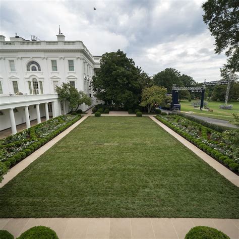 White House Lawn