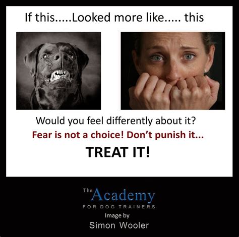 Canine Aggression Issues With Jim Crosby Fear
