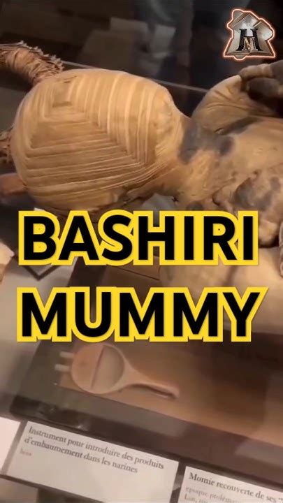 Bashiri Mummy An Ancient Mummy Preserved In Time Youtube