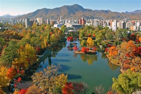秋天限定！日本五大賞銀杏好去處，一起漫步在黃金隧道吧～ 輕旅行