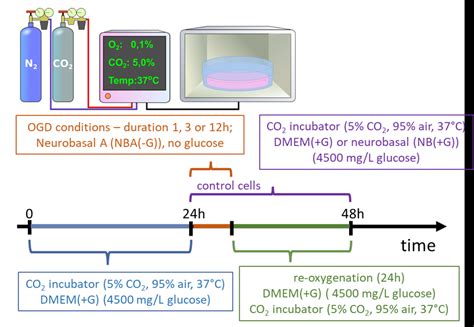 A A Scheme Showing Three Steps Of Sequential Ogd Applied To Living Sh