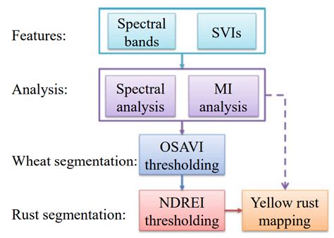 《精准农业中的无人机系统》：用于小麦黄锈病监测的无人机多光谱遥感技术 知乎