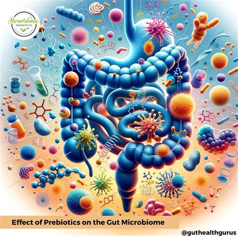 Comparison Of Prebiotics And Gut Microbiome Kriben Govender Posted On