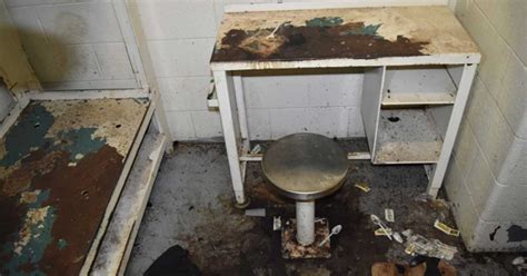 빈대에 산 채로 먹혔다” 美죄수 유가족 교도소 폐쇄 요구 서울신문