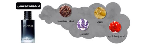 سافاج من كريستيان ديور للرجال او دي تواليت، 100 مل اشتري اون لاين بأفضل الاسعار في السعودية